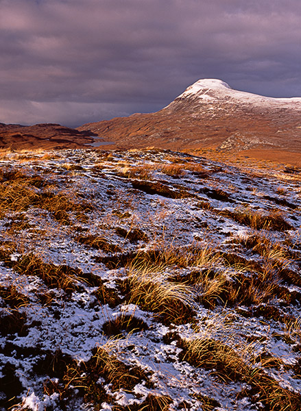 Canisp : Inverpolly National Nature Reserve, Assynt, Scotland